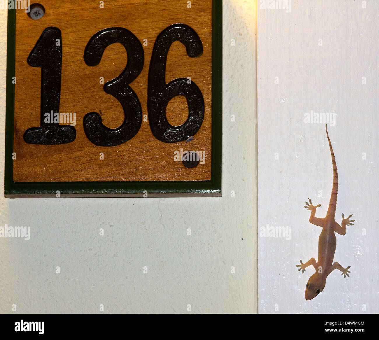 Number 136 hi-res stock photography and images - Alamy