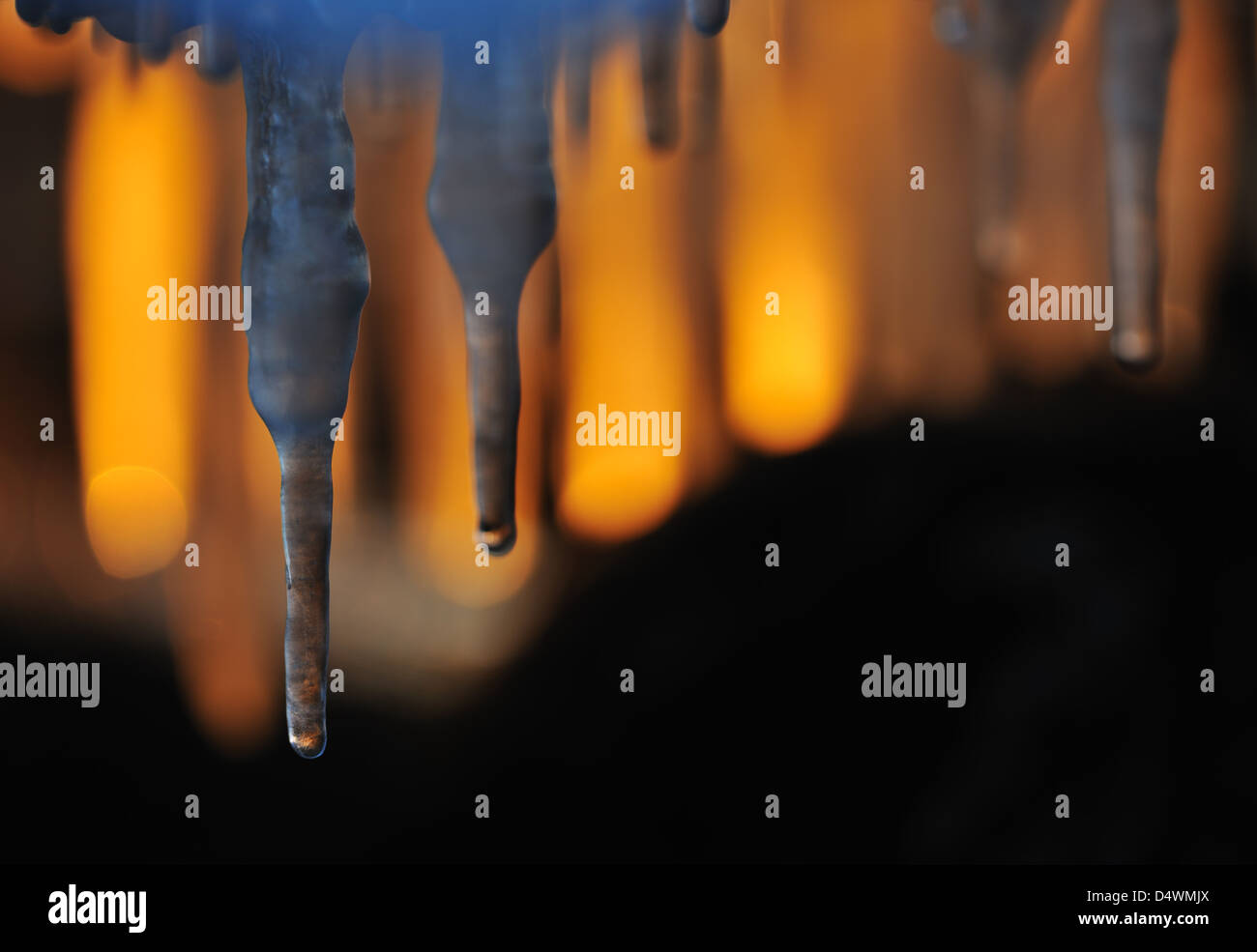 Close up of icicles melting at Näsbokrok Nature reserve at sunset ...