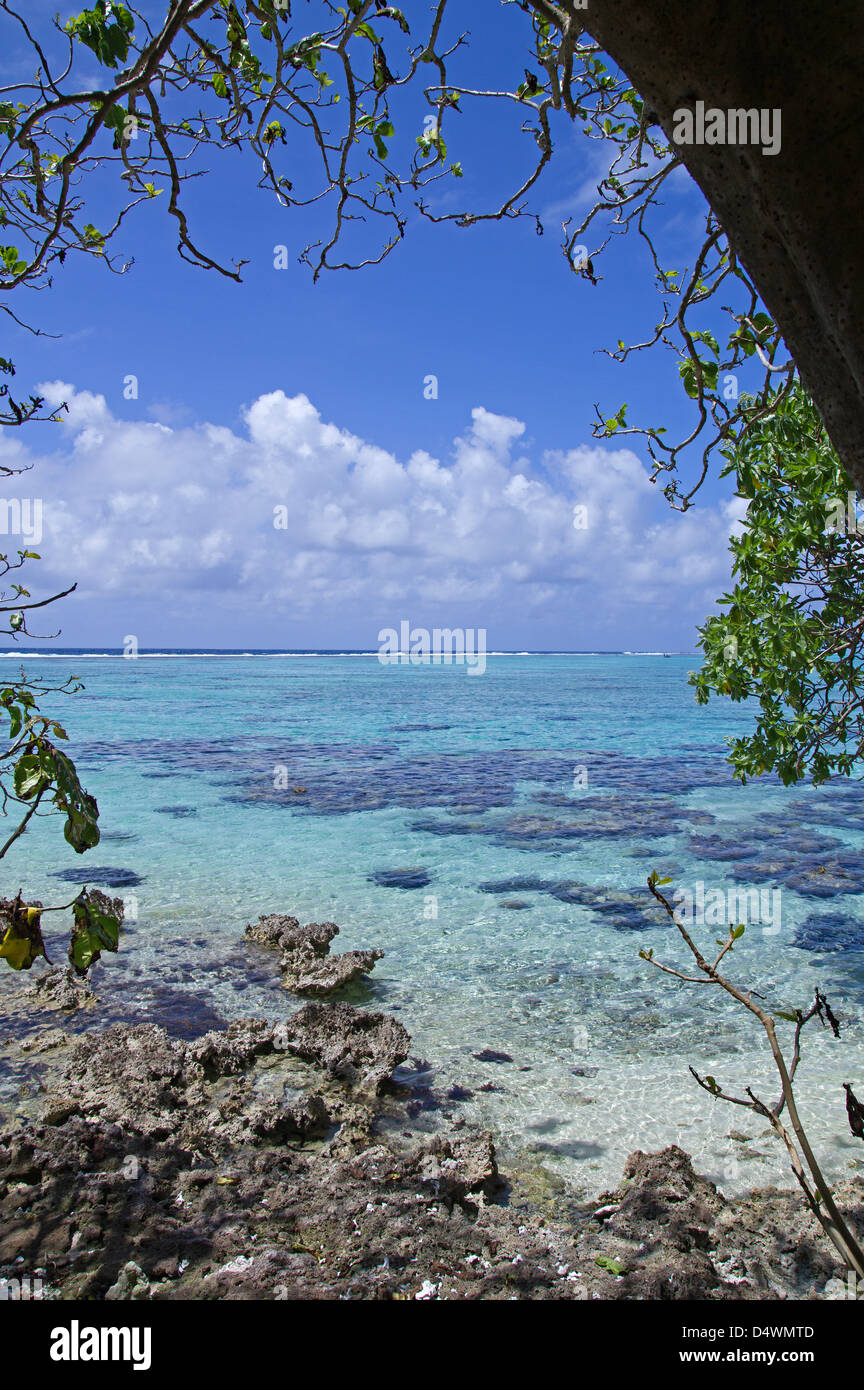 tropical turquoise reef Stock Photo - Alamy
