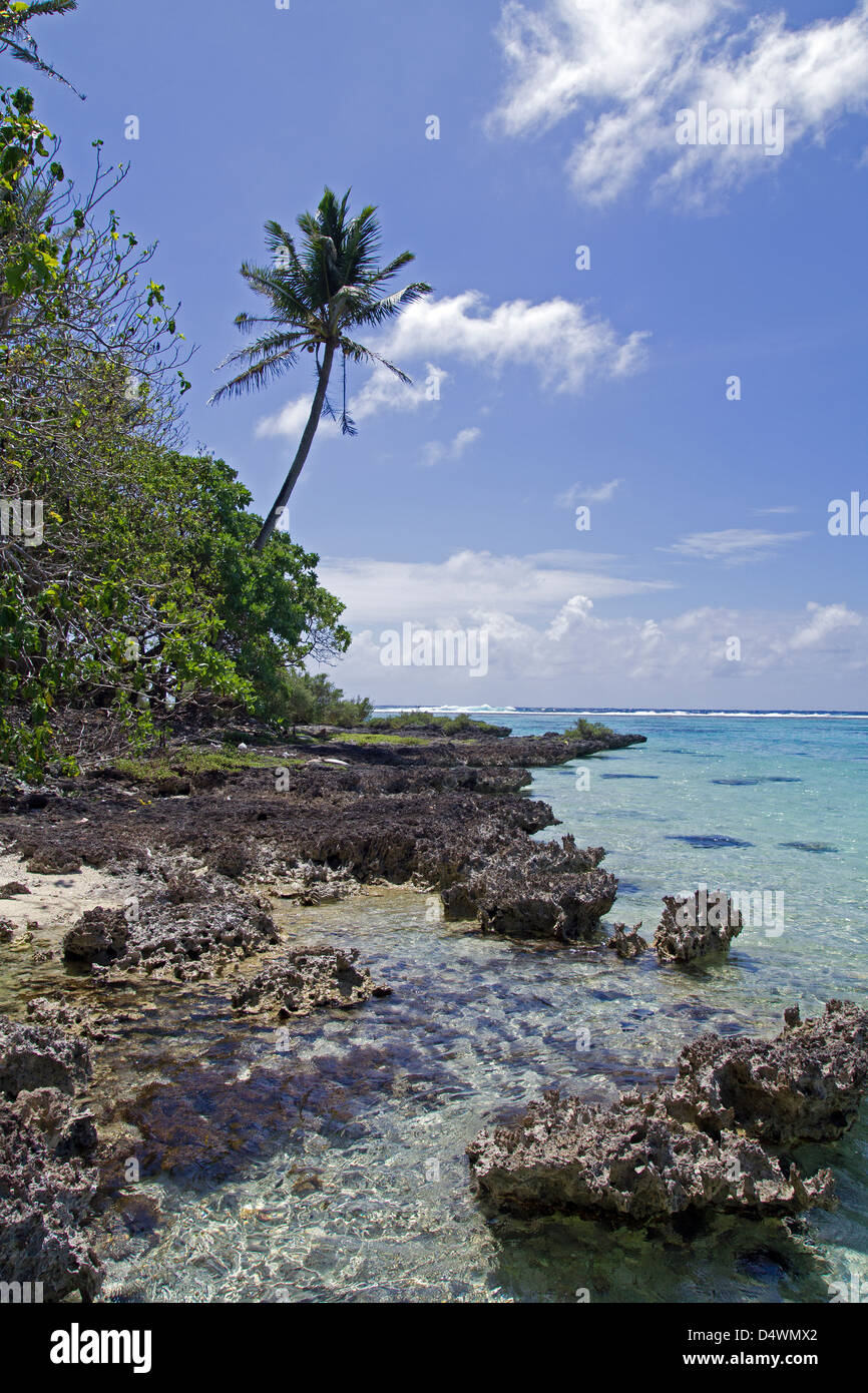 tropical turquoise reef Stock Photo - Alamy