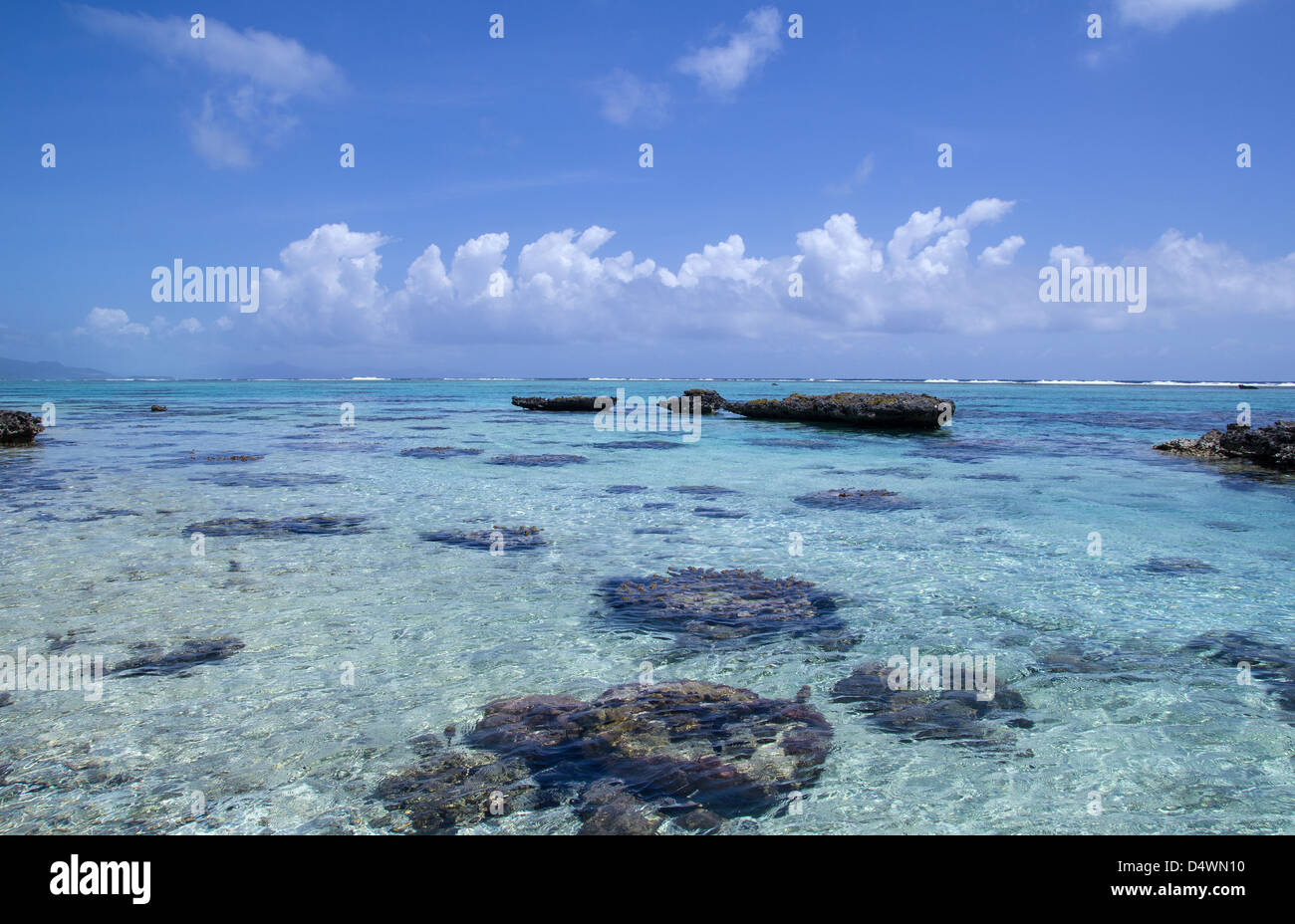 tropical turquoise reef Stock Photo - Alamy