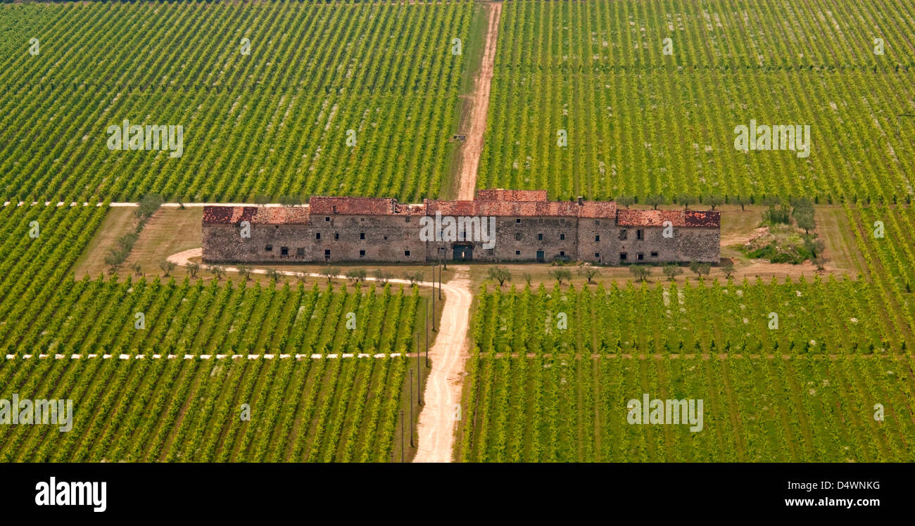 Old building sitting in vineyard, Valpolicella wine region, Italy Stock ...