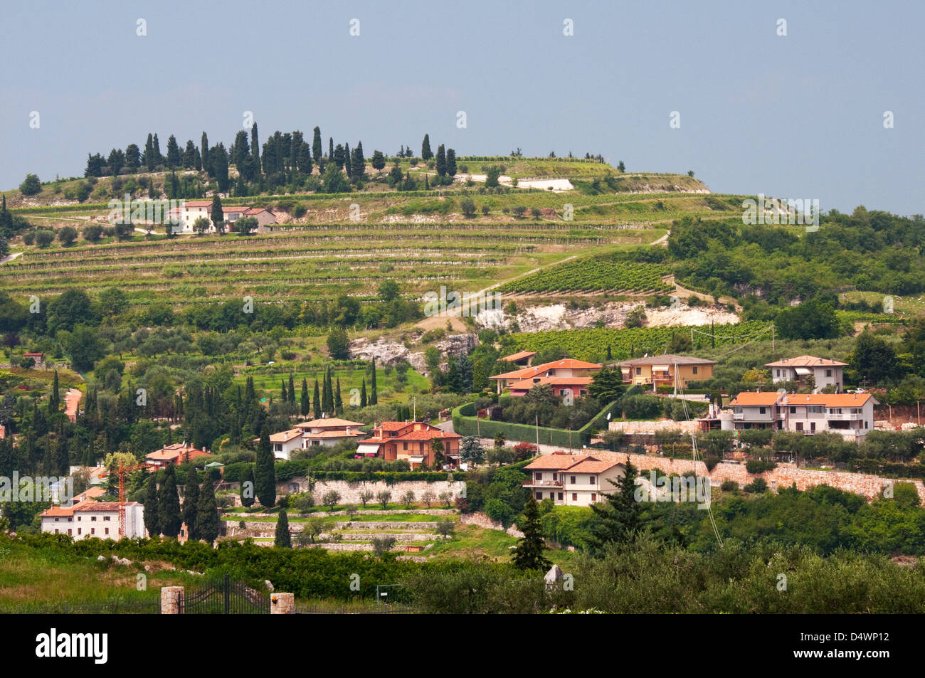 View of the hills of the Valpolicella wine region, Italy Stock Photo ...