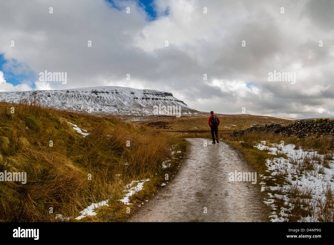 Winter walker heading up Pen-y-Ghent, one of the Yorkshire 3 Peaks ...