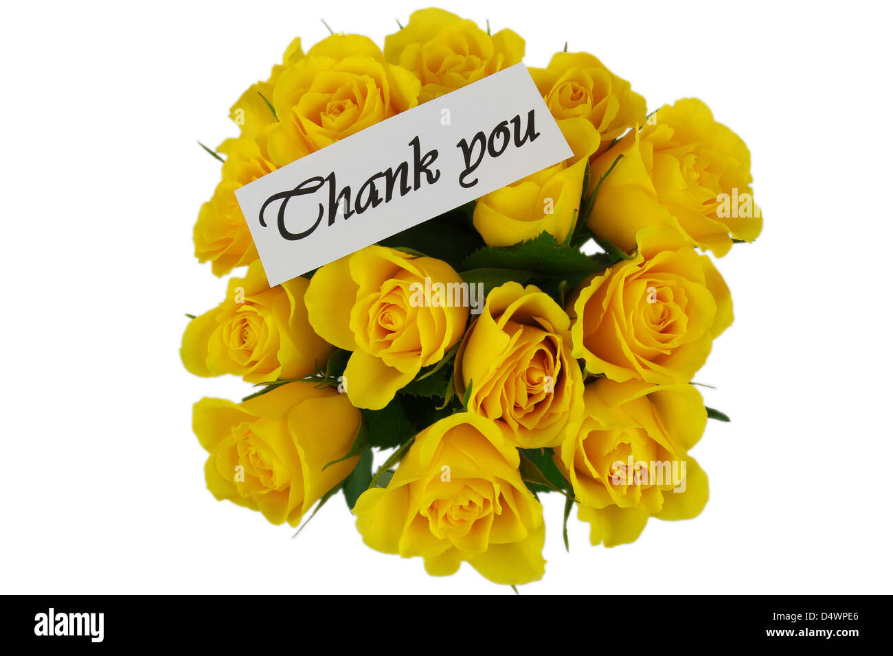 Thank you note and yellow roses bouquet isolated on white Stock Photo ...