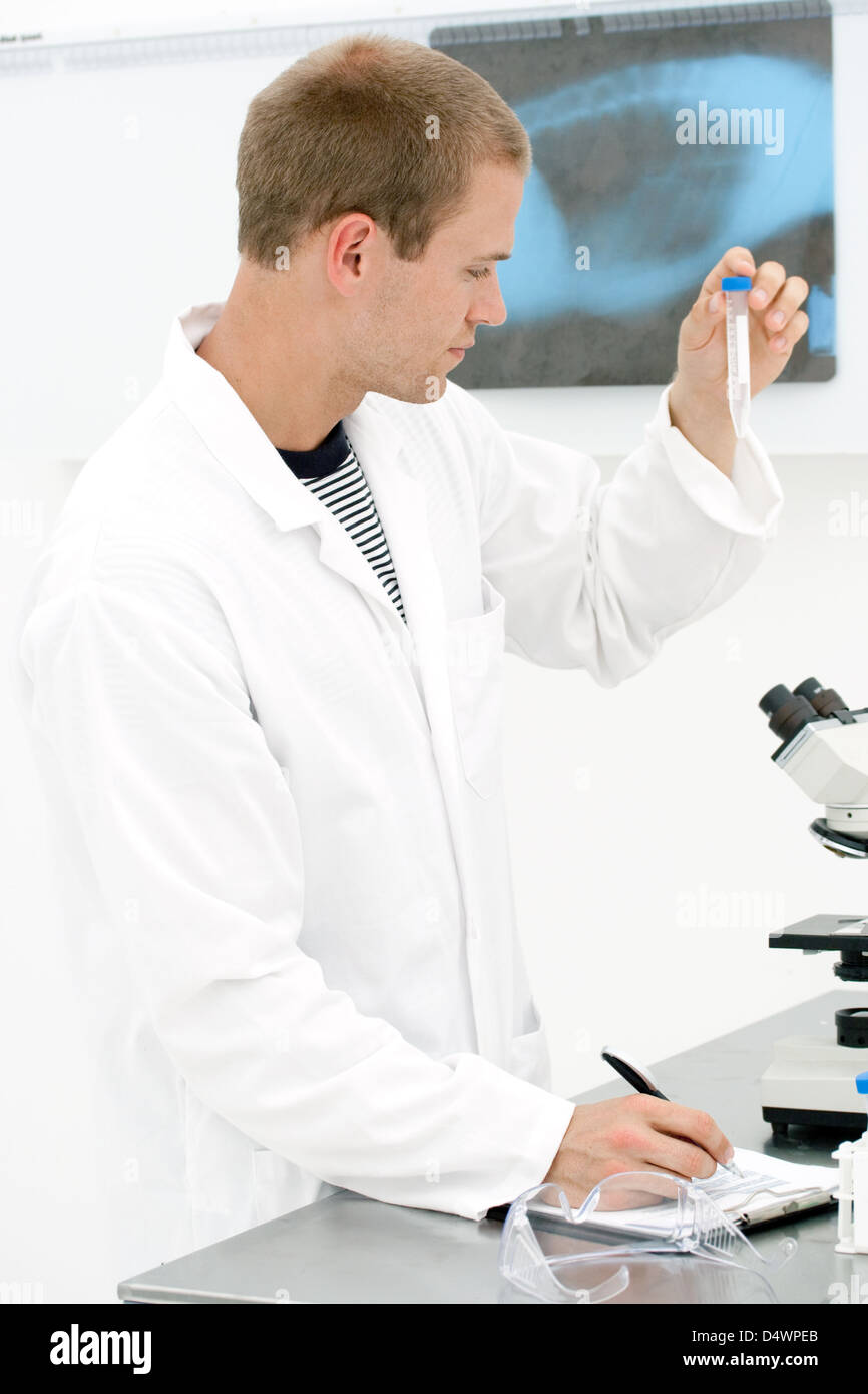 A young male lab tech looking at test samples in the laboratory Stock ...