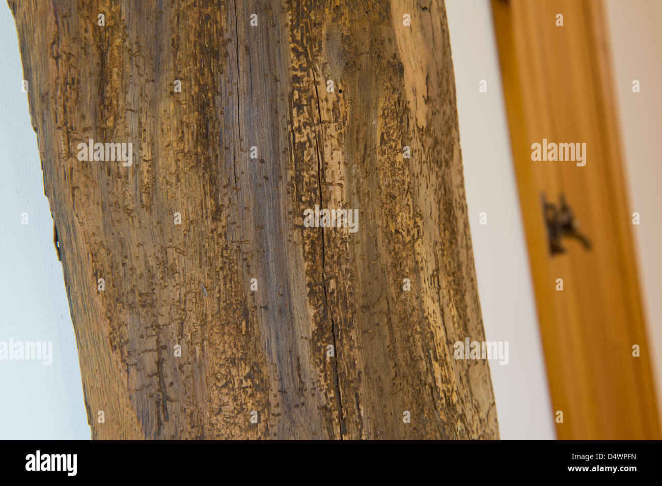 Close up of old oak wooden beam in a newly converted barn in rural ...