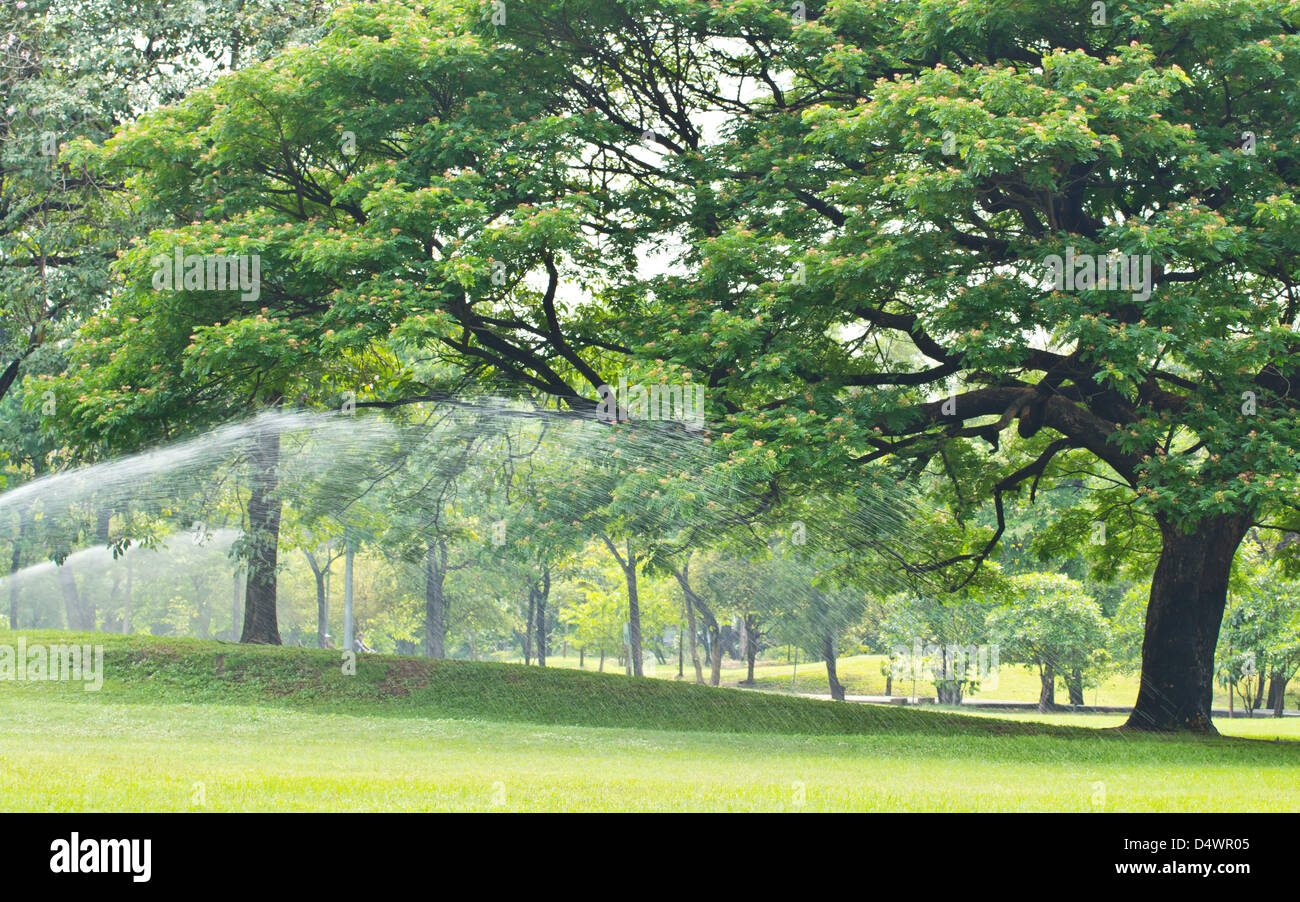 Tree sprinkler hi-res stock photography and images - Alamy