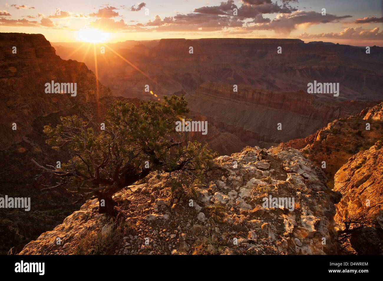 Roadside overlook of Grand Canyon, west of Lipan Point, Arizona, USA ...