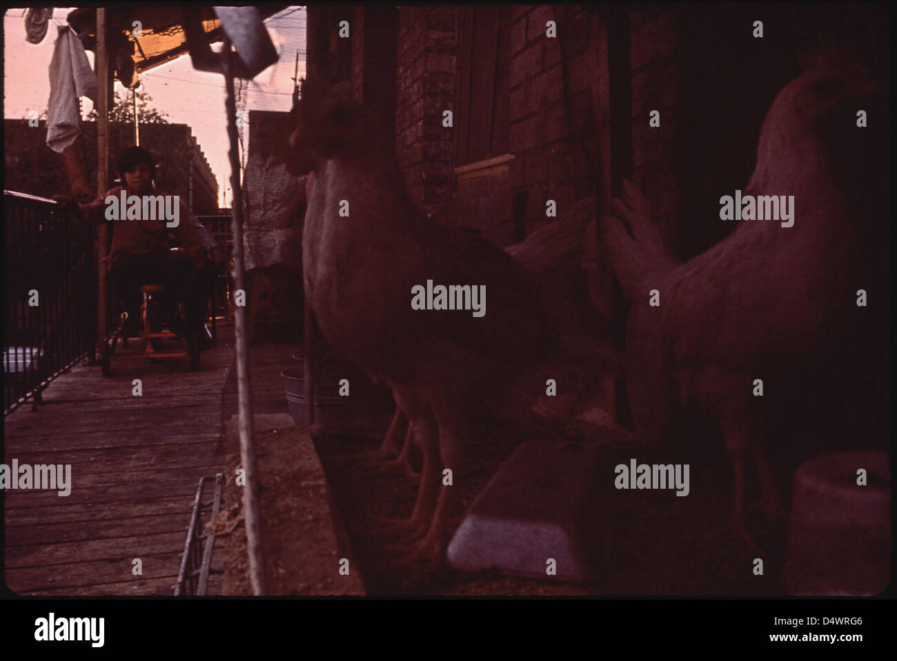 A photograph of the Second Ward neighborhood in El Paso, Texas ...