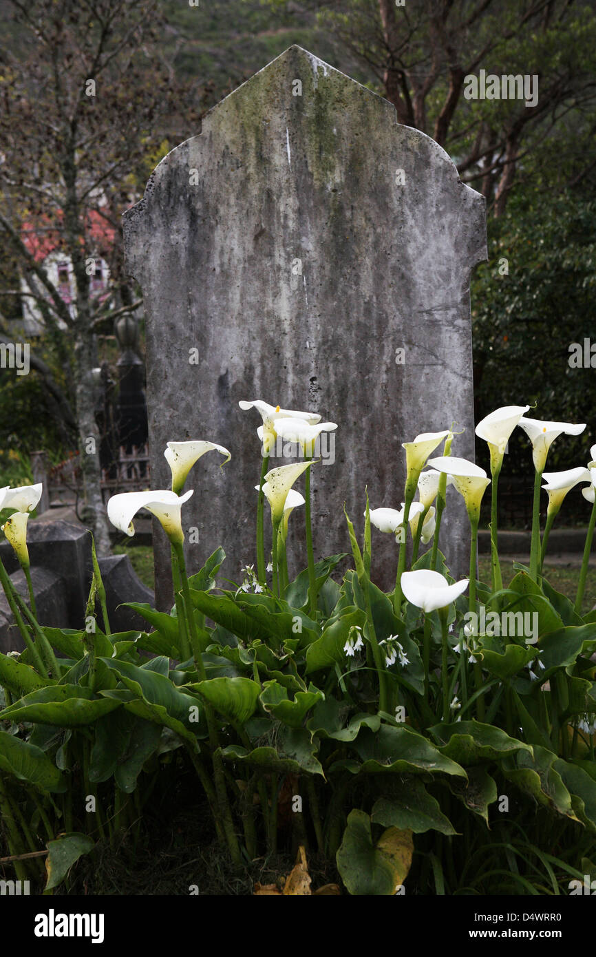 Grave stones with white lilies Stock Photo - Alamy