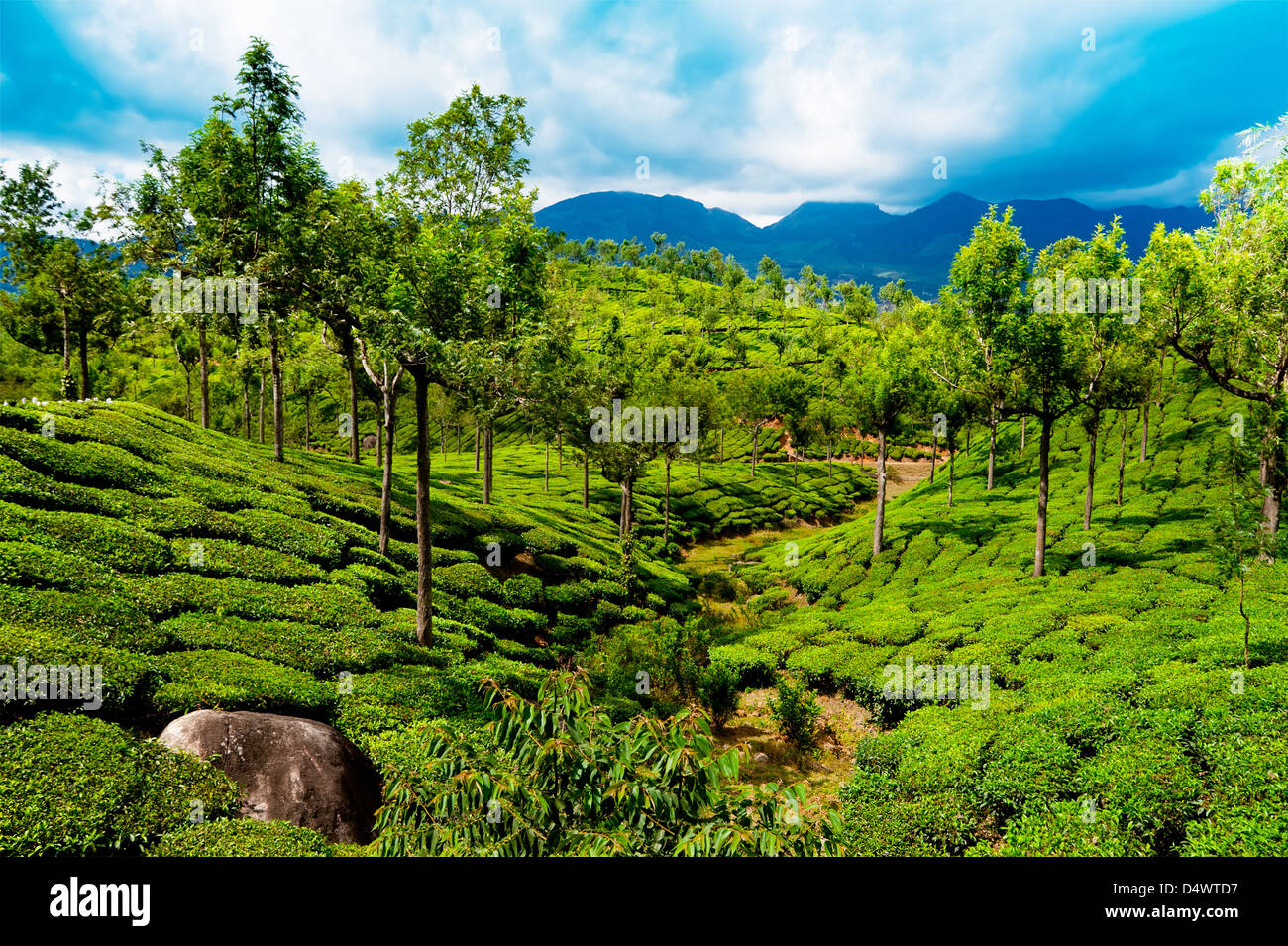 India Nature Wallpaper