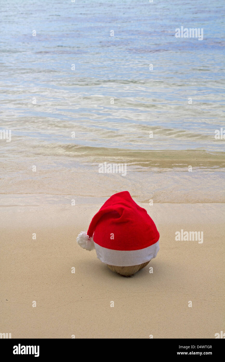 Coconut with coconut water hi-res stock photography and images - Alamy