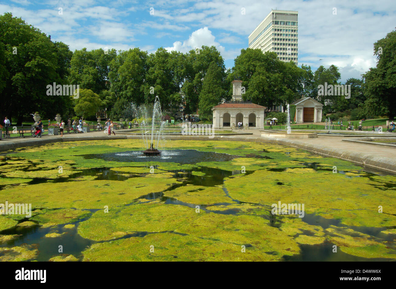 Algae covered pond in Hyde Park in London, England Stock Photo - Alamy