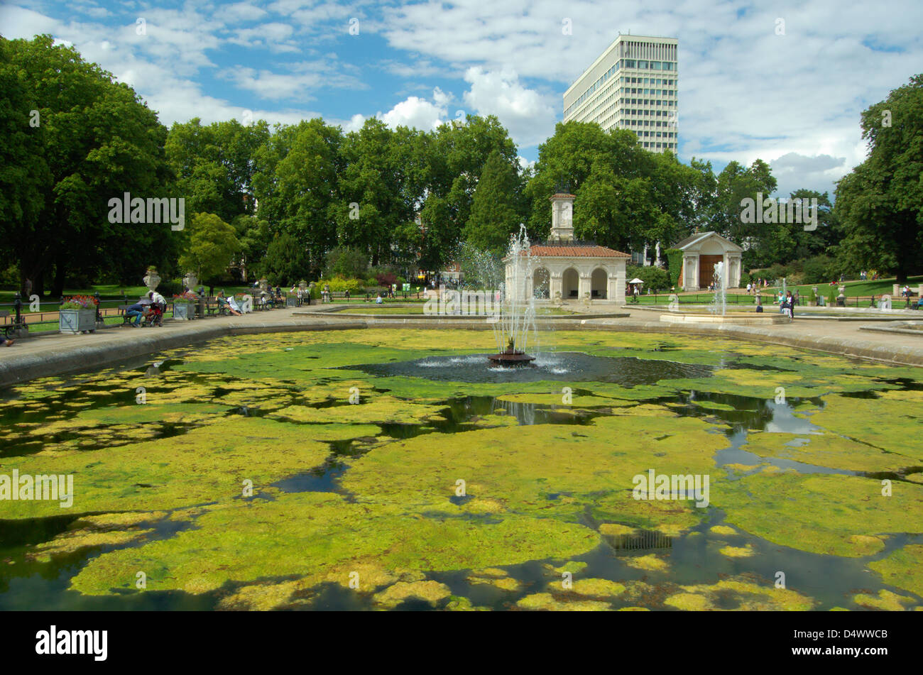 Algae covered pond in Hyde Park in London, England Stock Photo - Alamy