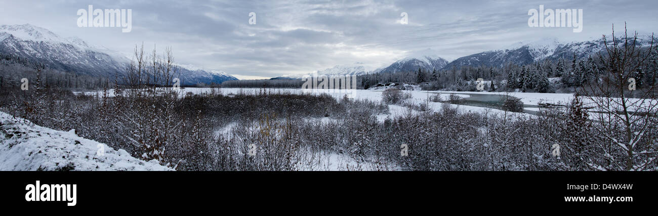 Chilkat river bald eagle preserve hi-res stock photography and images ...