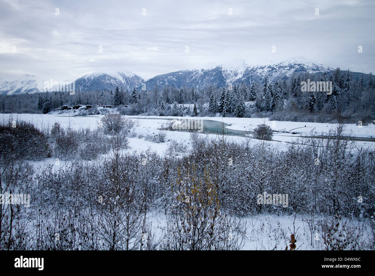 The Chilkat river near the Klukwan native village Alaska Stock Photo ...