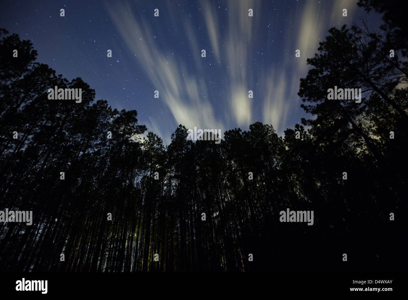Clouds moving moving across a night sky Stock Photo - Alamy