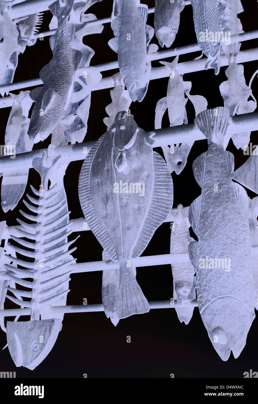 Overfishing hi-res stock photography and images - Alamy