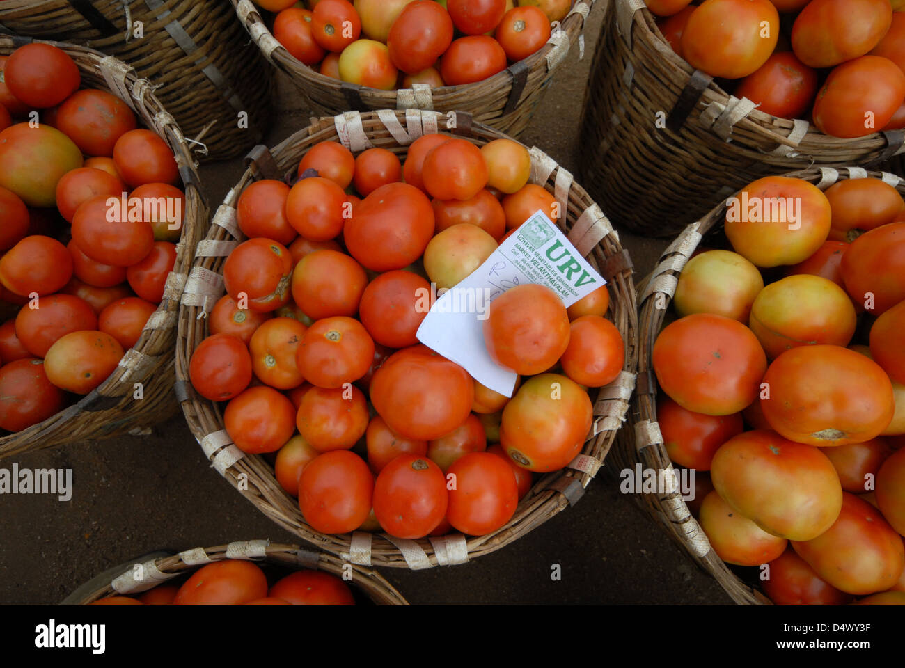 tomatoes on sale Stock Photo - Alamy