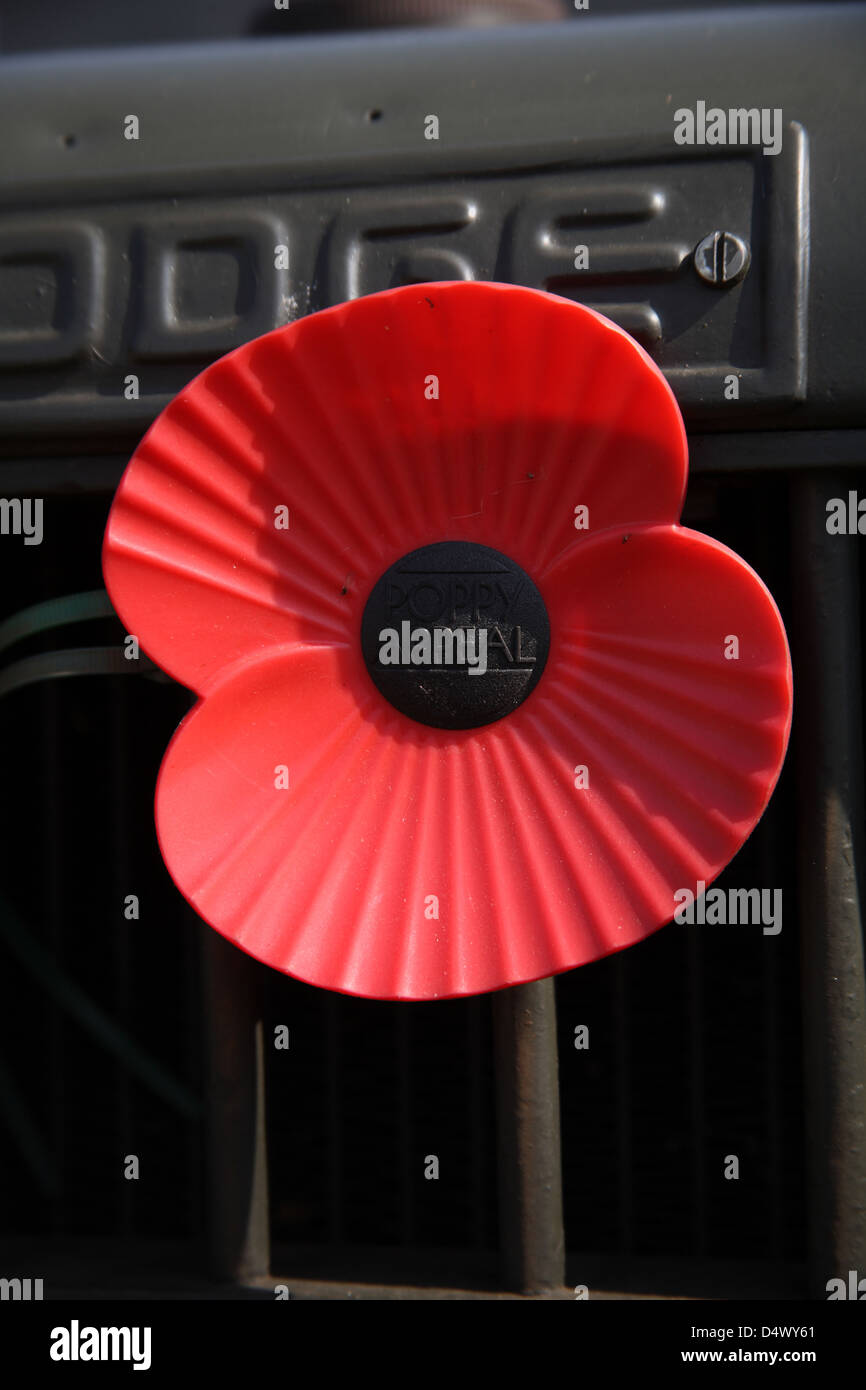 Plastic poppy hi-res stock photography and images - Alamy