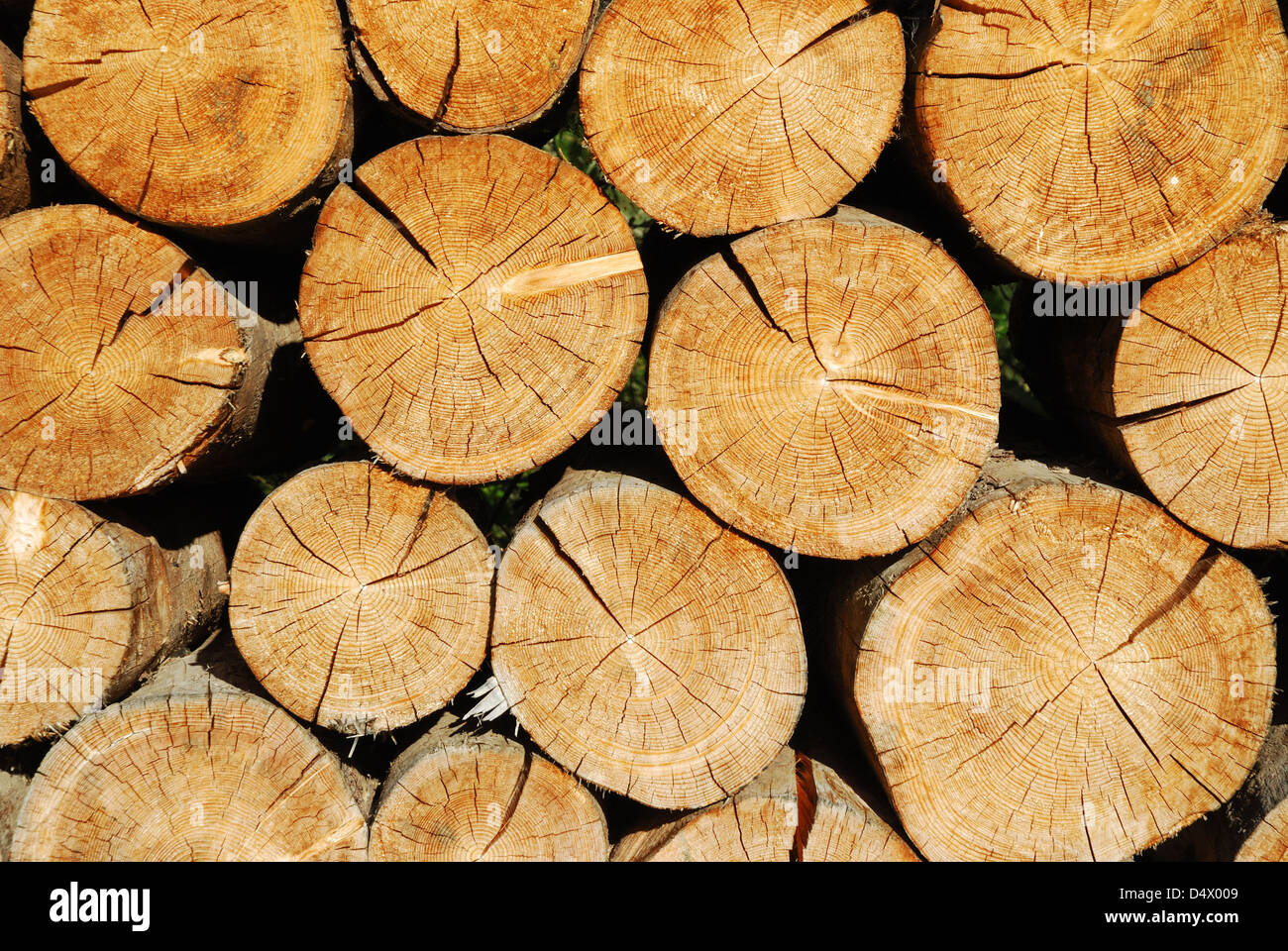 Pile of timber hi-res stock photography and images - Alamy
