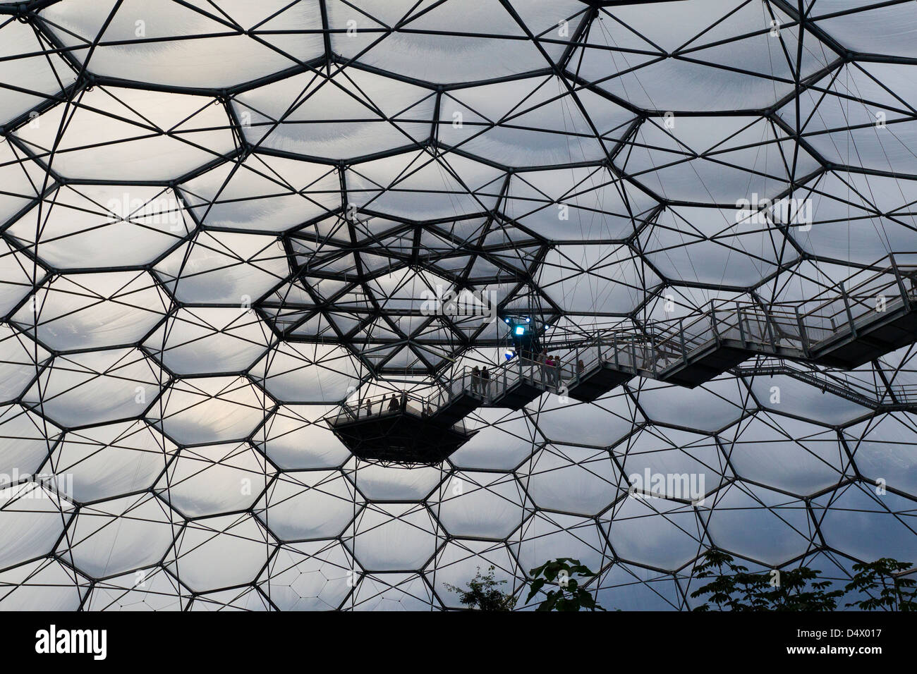 InsideThe Rain forest Biome Looking Up At The Rainforest Lookout ...