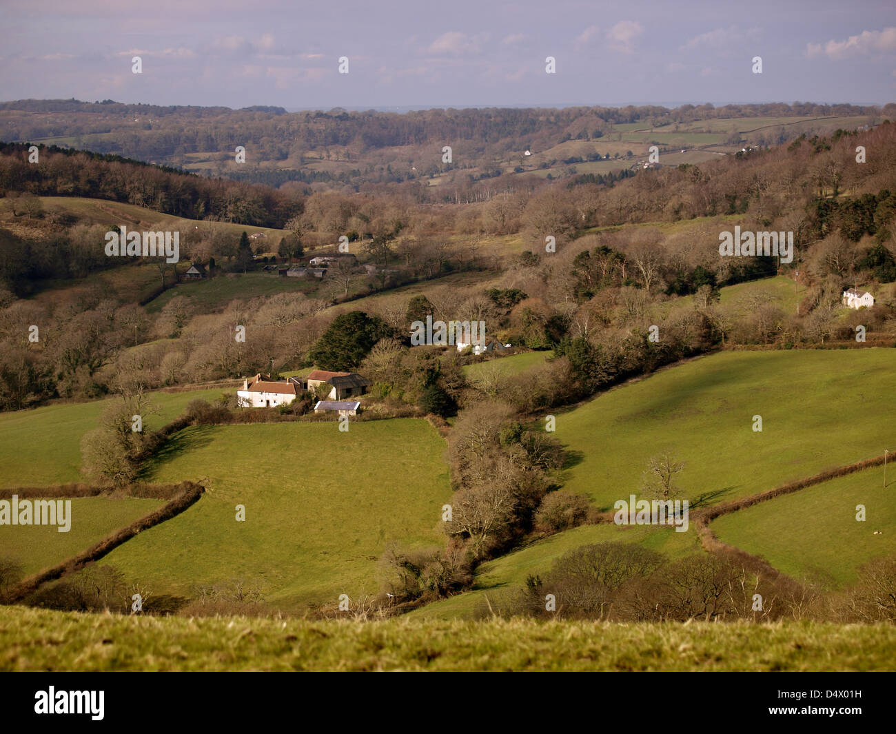 Fishpond bottom hi-res stock photography and images - Alamy