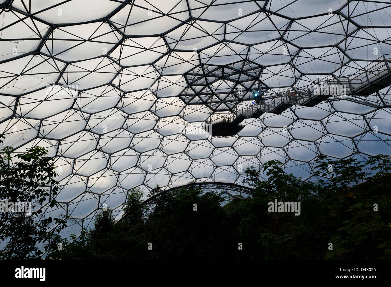 InsideThe Rain forest Biome Looking Up At The Rainforest Lookout ...