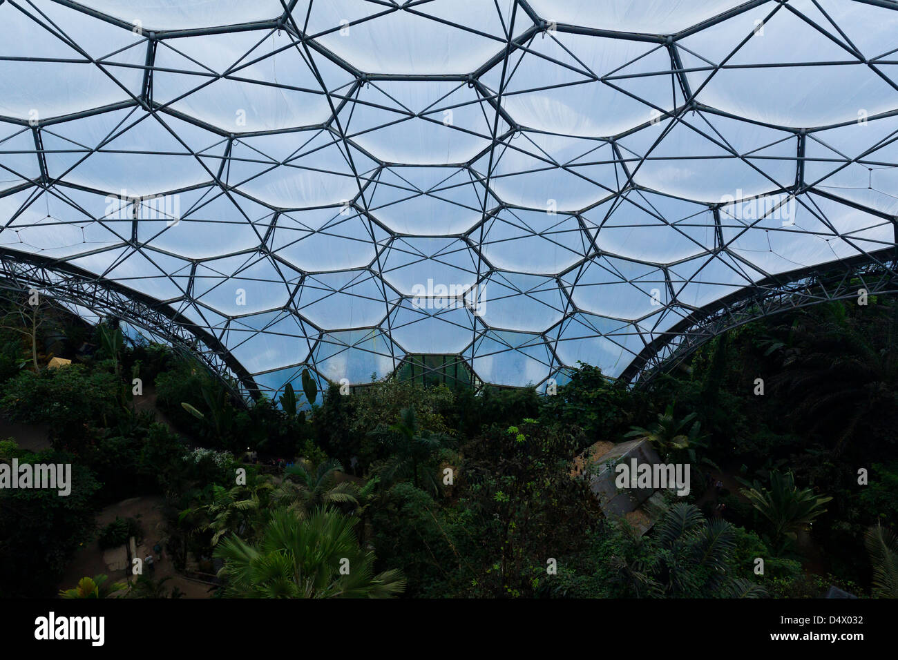 Inside The Rain forest Biome Eden Project Cornwall, South West, England ...
