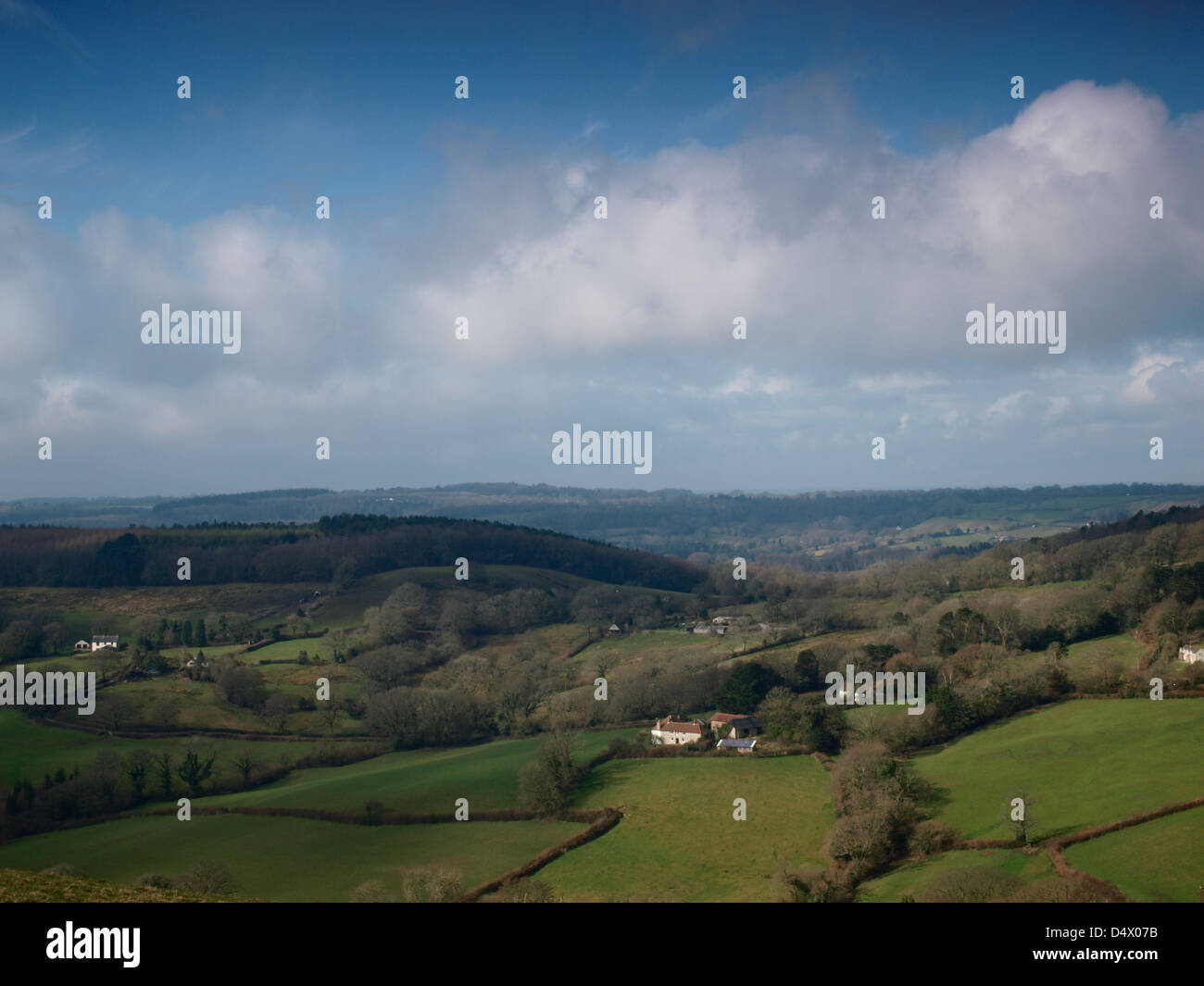 Fishpond bottom hi-res stock photography and images - Alamy