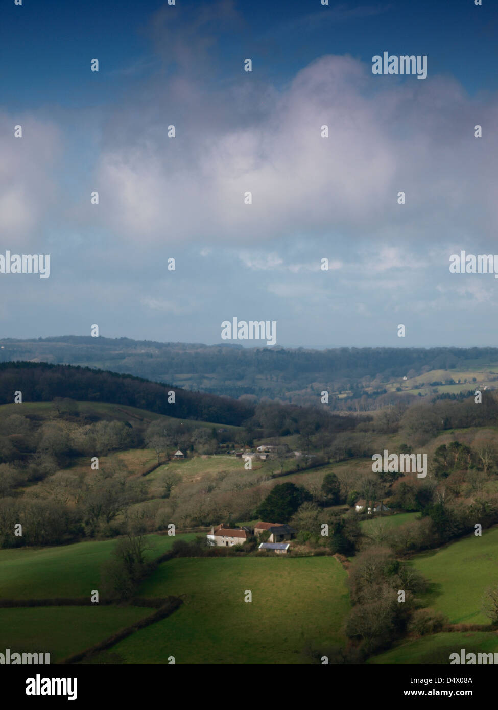 Fishpond bottom hi-res stock photography and images - Alamy