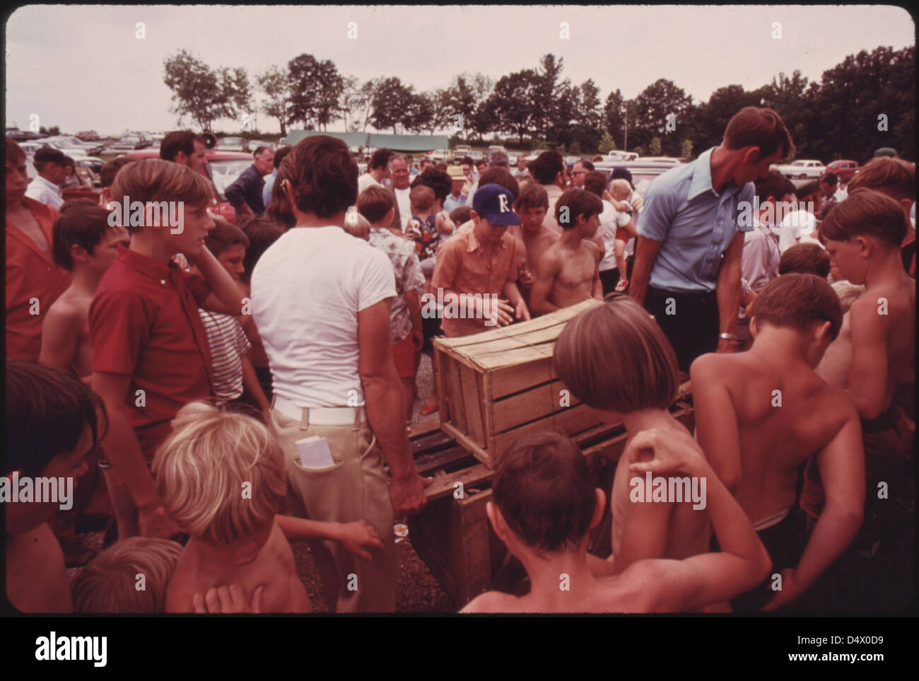 Greased pig hi-res stock photography and images - Alamy