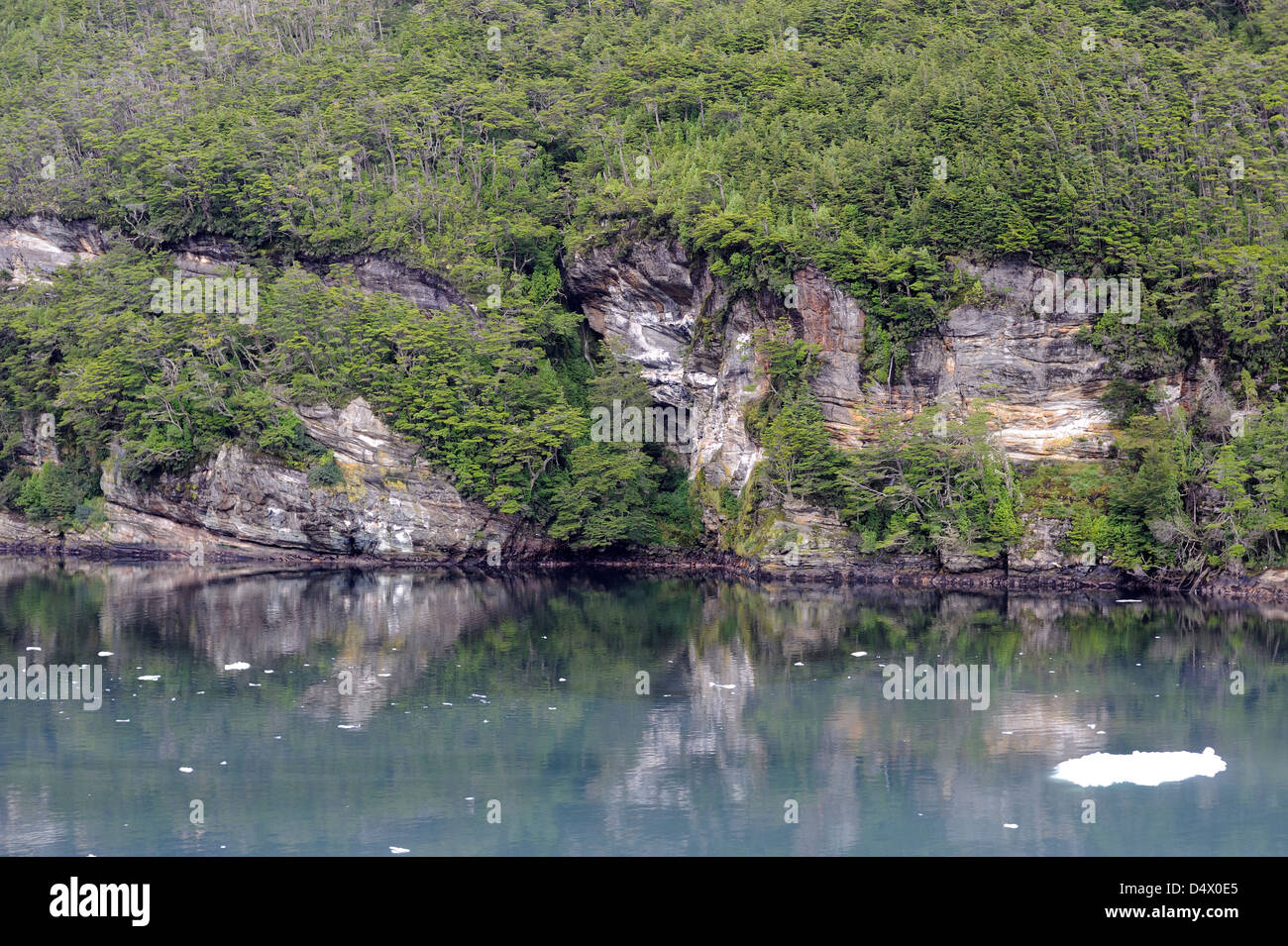 Magellanic subpolar forest hi-res stock photography and images - Alamy