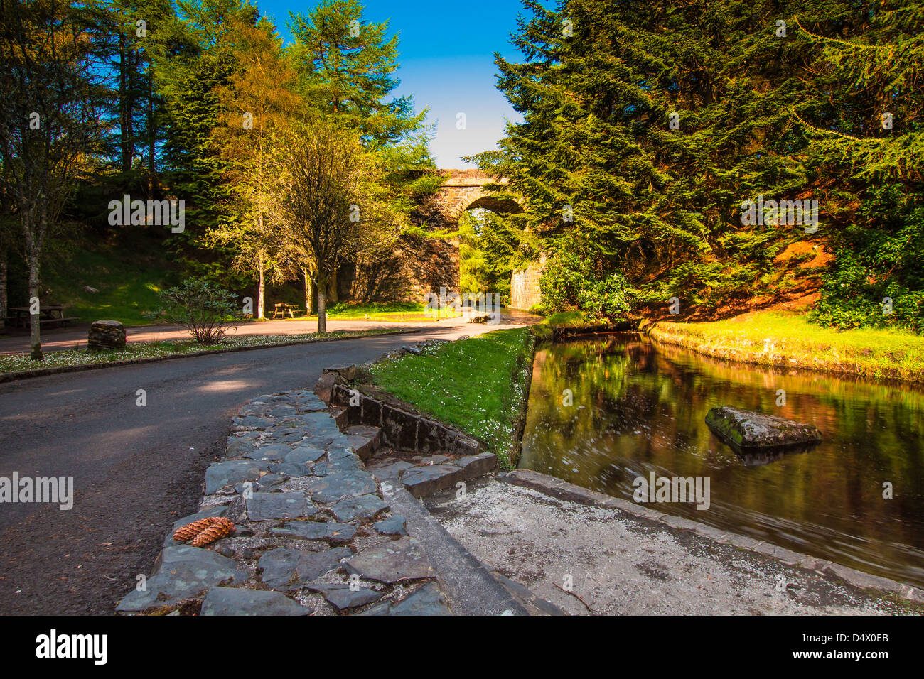 Pond Irish Bridge Ballypatrick Forest Co Antrim Northern Ireland Stock ...