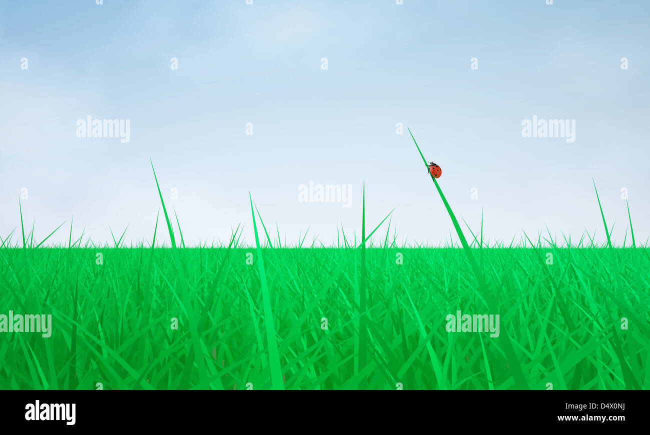 The Three-dimensional Scene: Green Grass and Blue Sky Stock Photo - Alamy