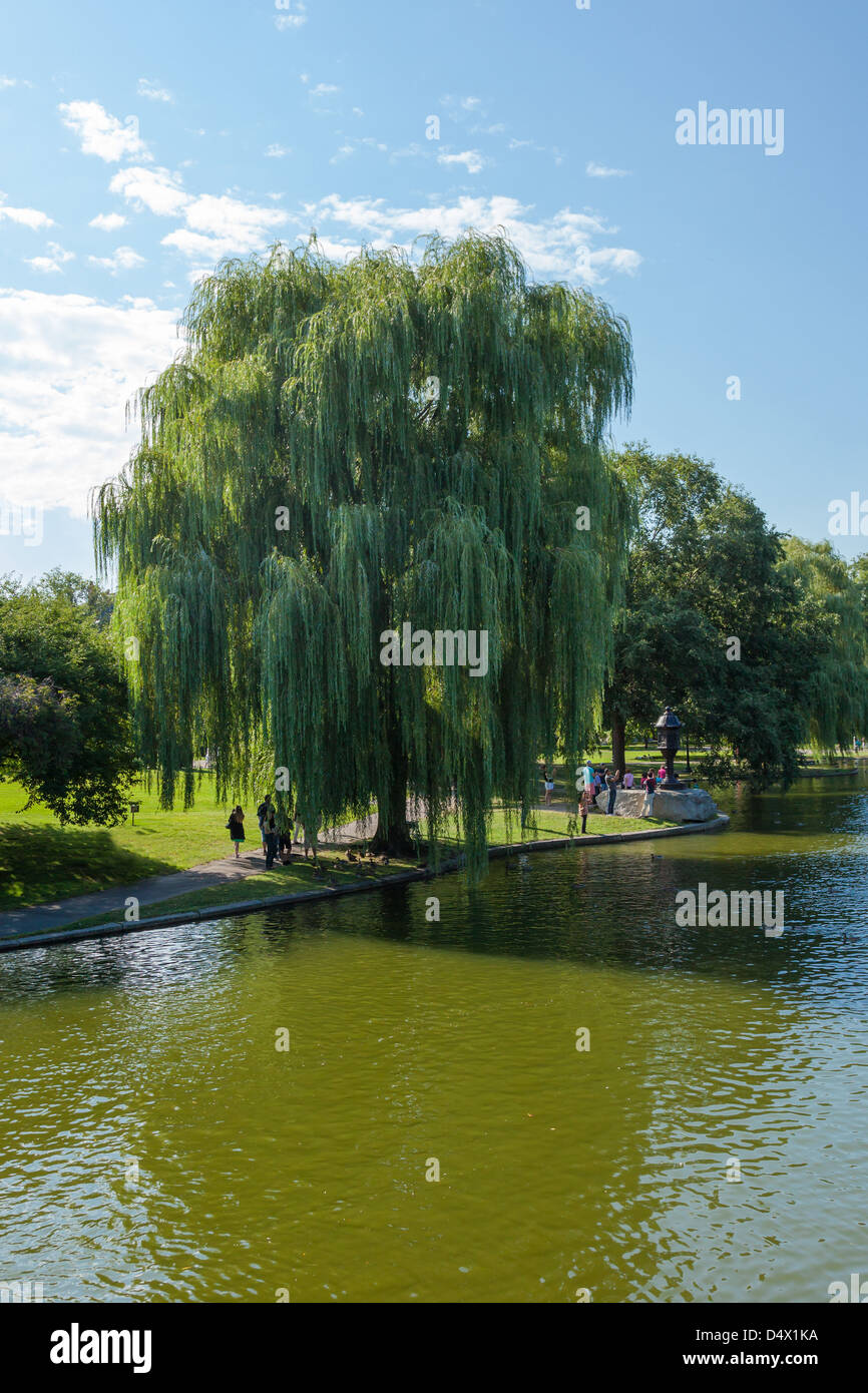 Massachusetts nature walk hi-res stock photography and images - Alamy