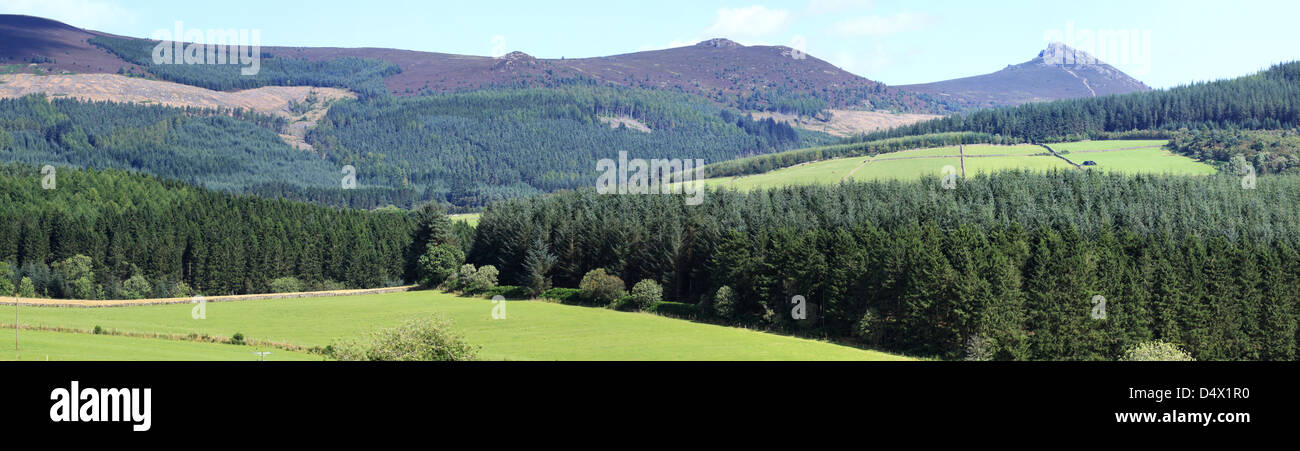 Panorama of Bennachie in Summer seen from Pitfichie Forest Stock Photo ...