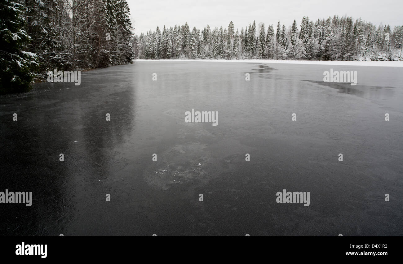 First thin ice skim layer forming to lake surface , Finland Stock Photo ...