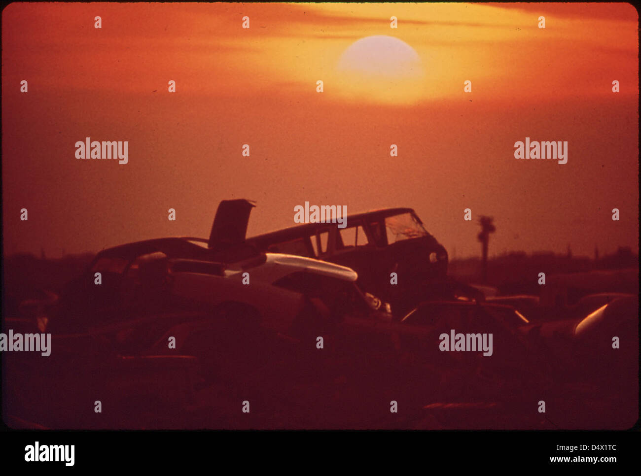 A photograph from June 1972 depicting an automobile junkyard, showing ...