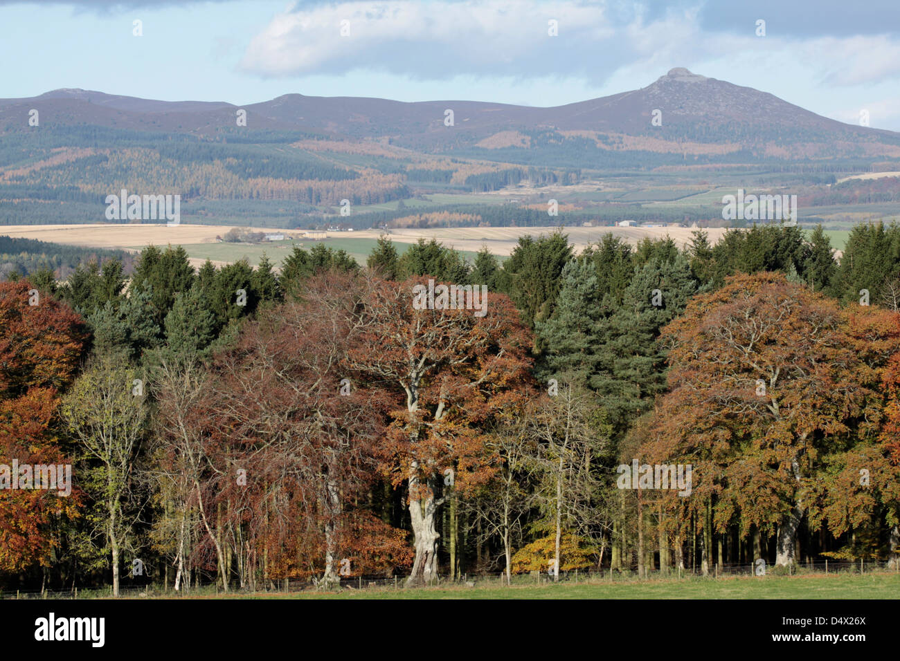 Bennachie hill range hi-res stock photography and images - Alamy