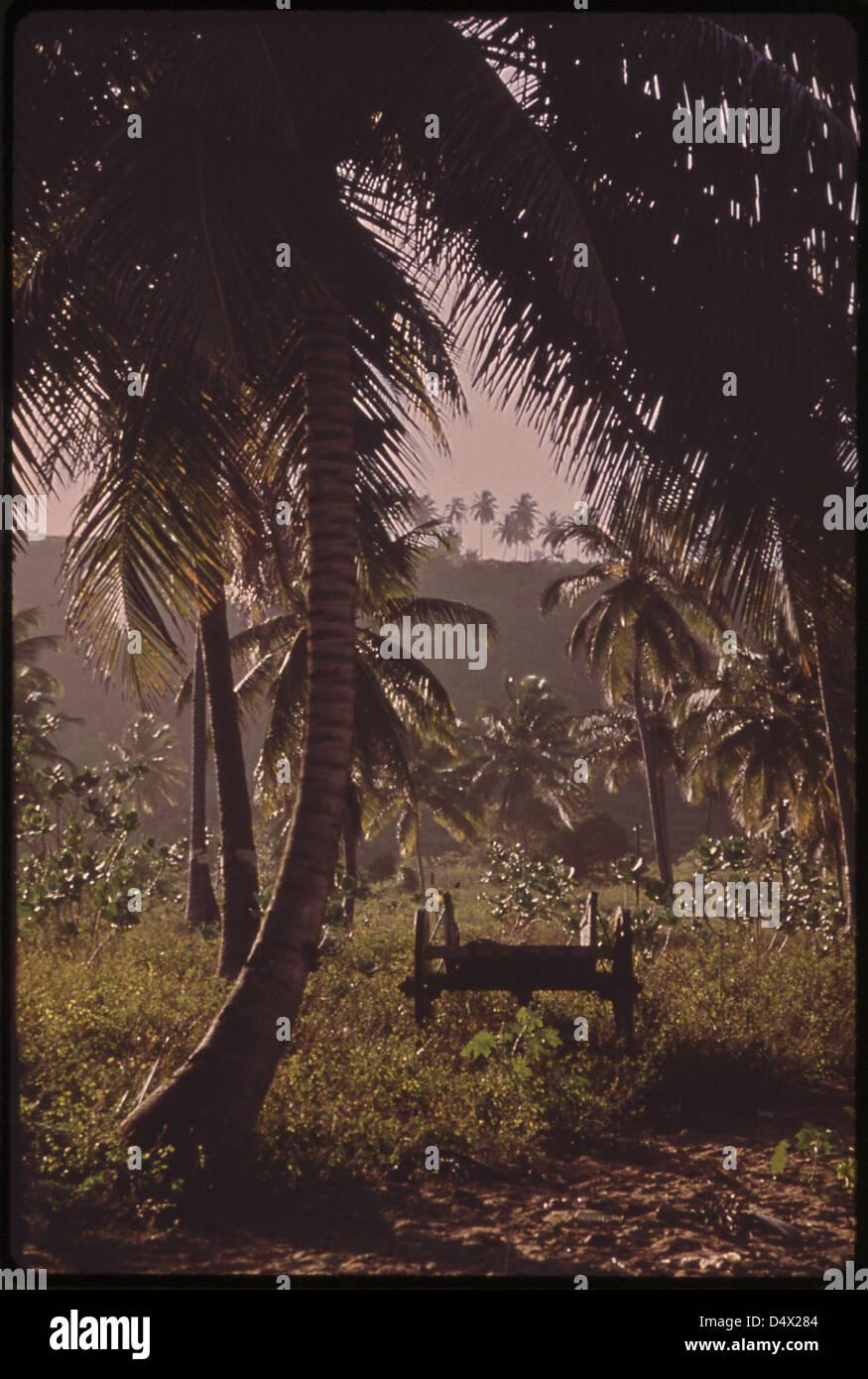 On the Coast 02/1973 Stock Photo - Alamy