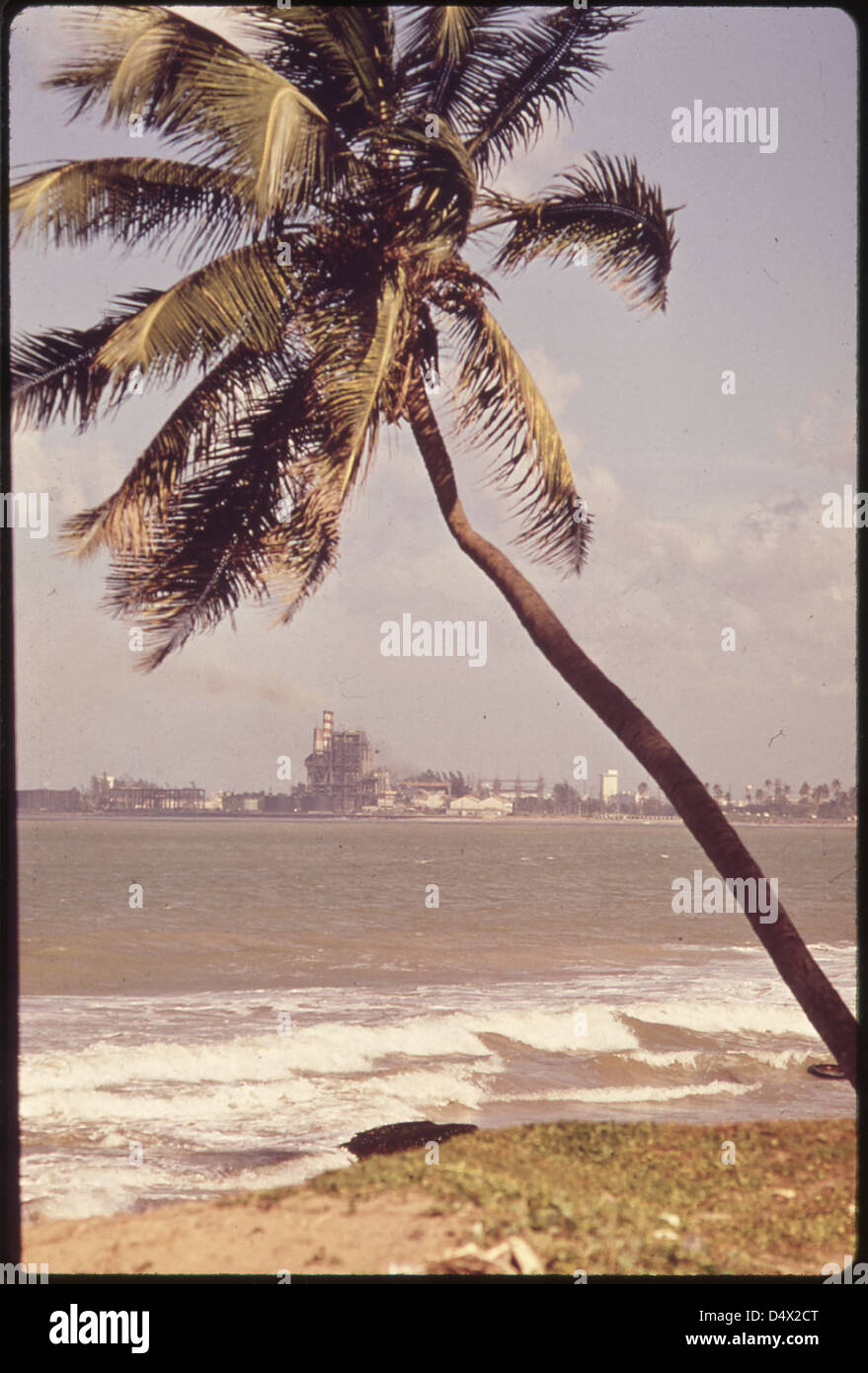 Palo seco hi-res stock photography and images - Alamy