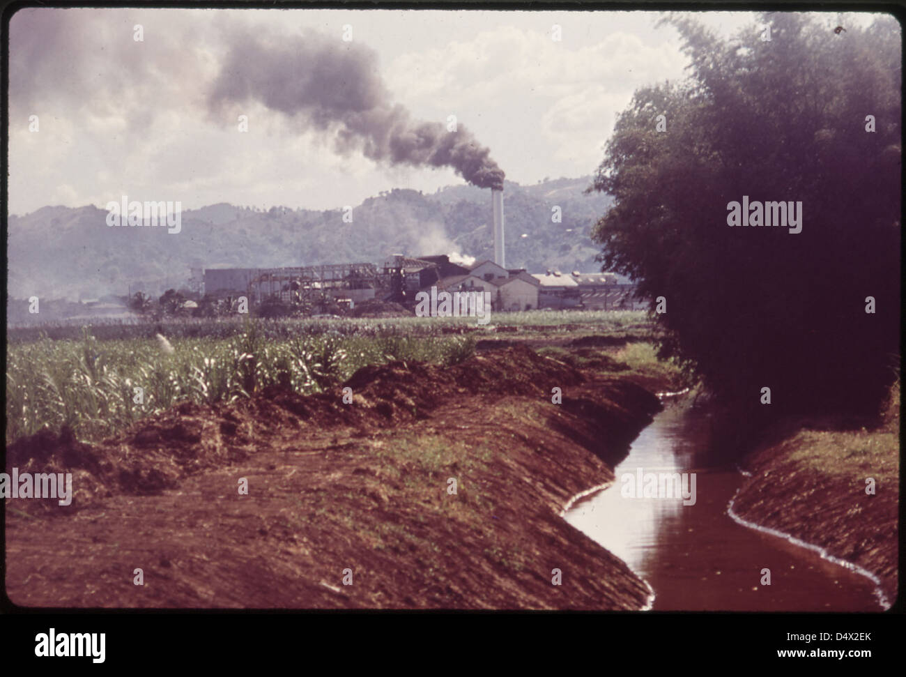 A photograph from February 1973 showing a sugar refinery in operation ...