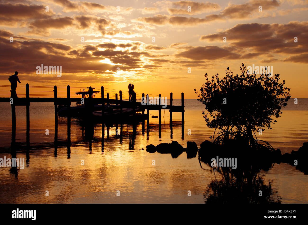 Father and child contemplate a Florida Keys sunset Stock Photo - Alamy