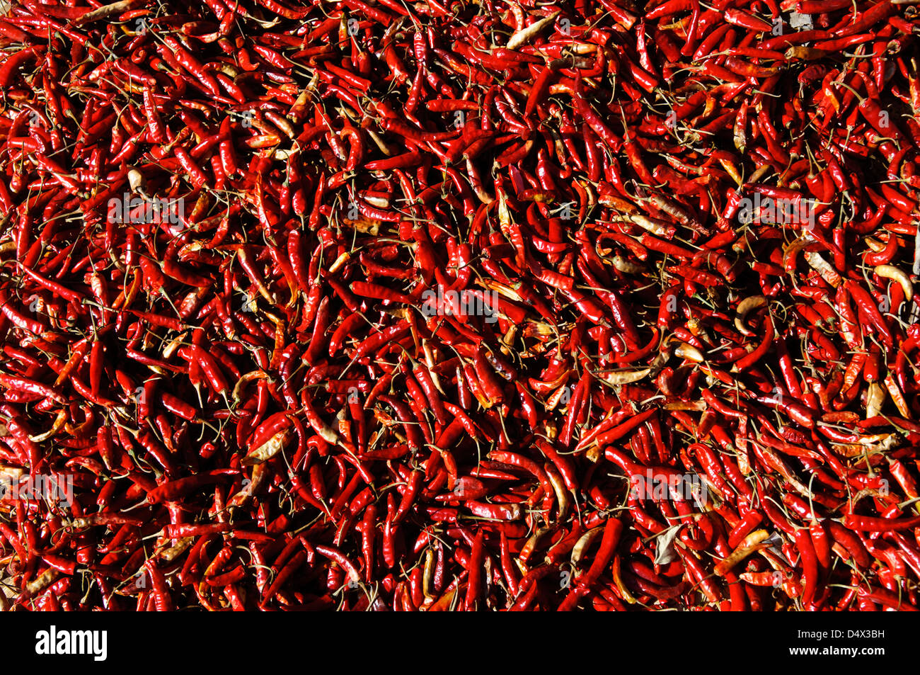 dried red peppers in a pile Stock Photo - Alamy