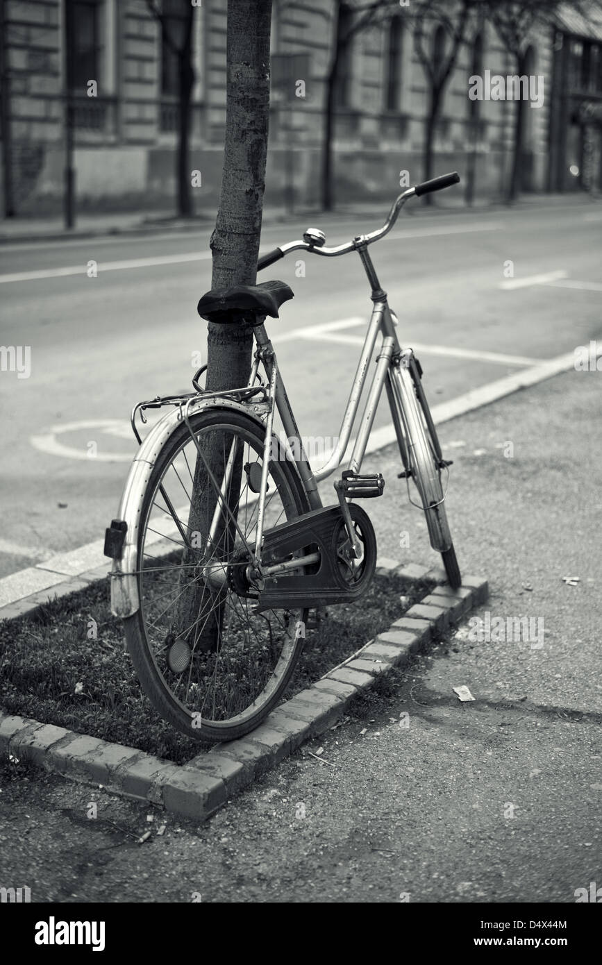 Vintage Bicycle Photography Black And White