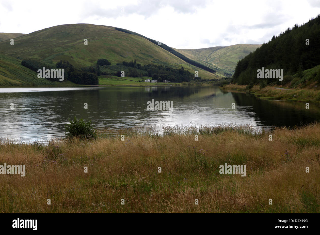 Saint marys loch hi-res stock photography and images - Alamy
