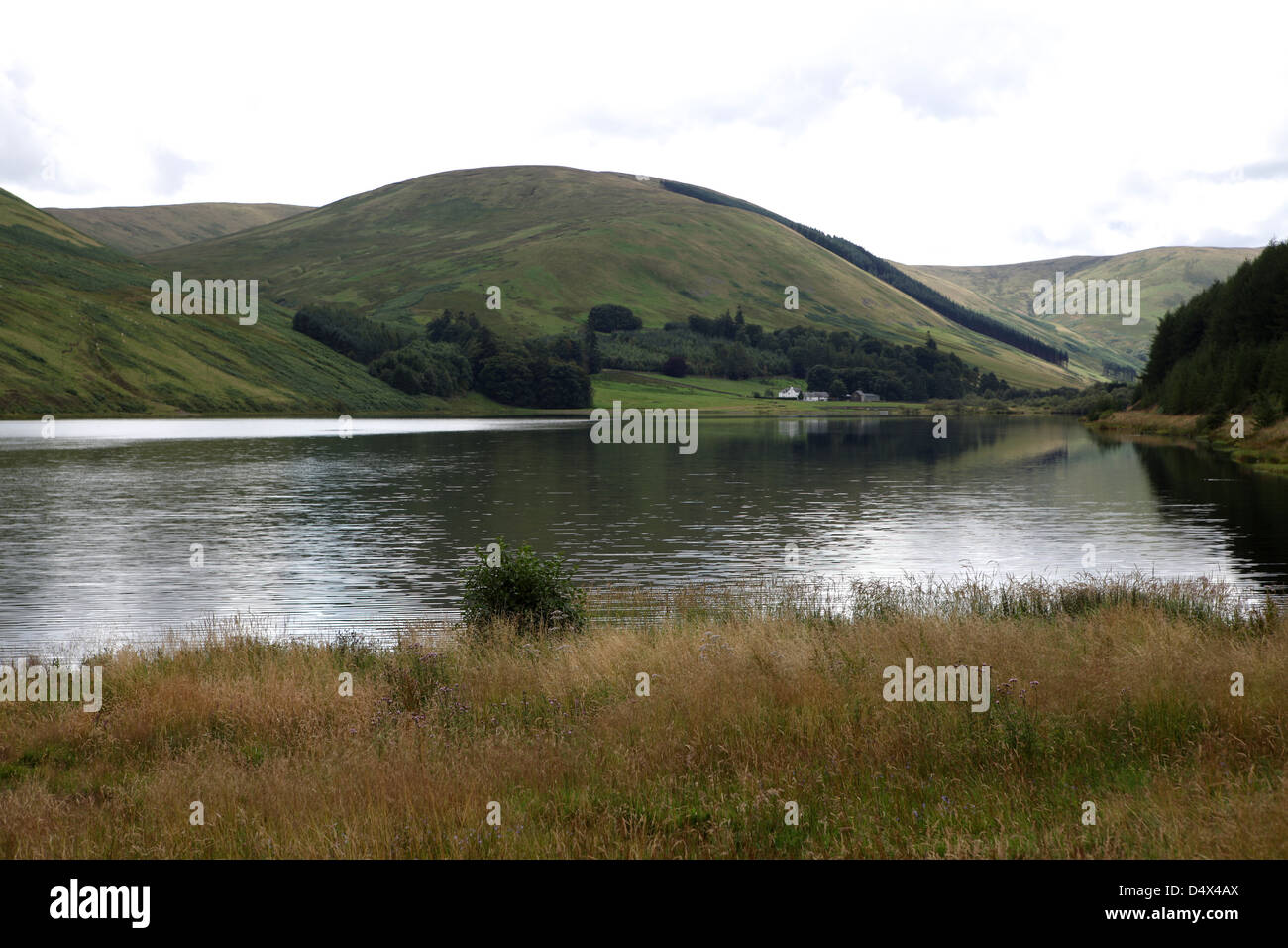Saint marys loch hi-res stock photography and images - Alamy