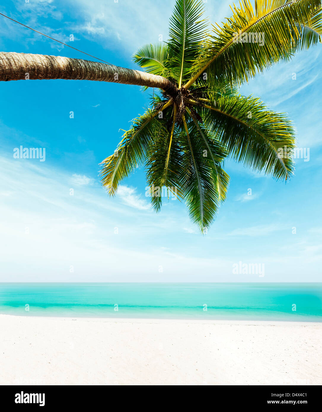 Tropical beach in the morning Stock Photo - Alamy